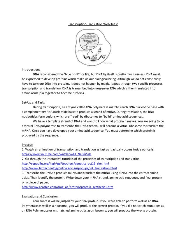 Ci 350 webquest | PDF