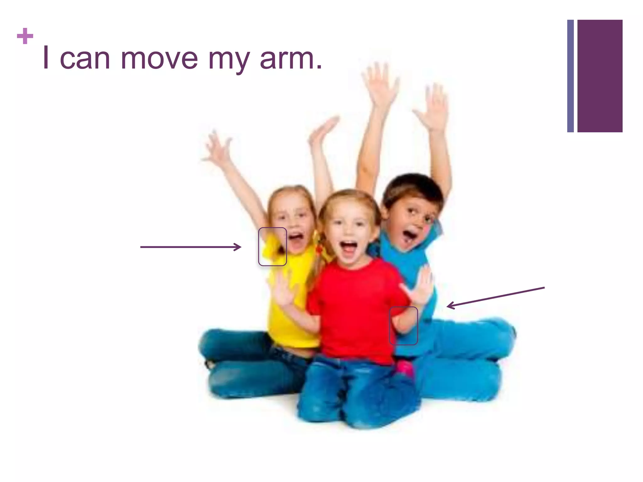 My body student presentation with body parts highlighted | PPTX