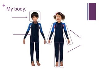My body student presentation with body parts highlighted | PPTX