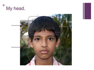 My body student presentation with body parts highlighted | PPTX