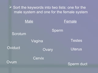 Ci 401 reprod. sys | PPT