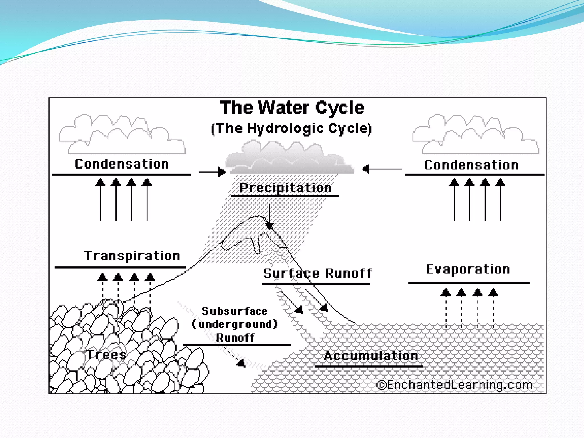 Water Cycle Presentation | PPTX