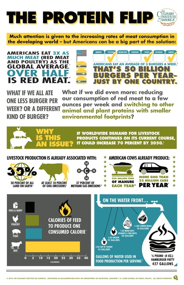 Protein Flip - The Culinary Institute of America | PDF | Vegetarian ...