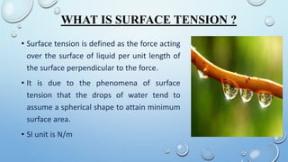 surface tension | PPT