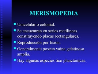 Cianobacterias cardona y_cano | PPT