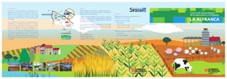 Ciar | PDF