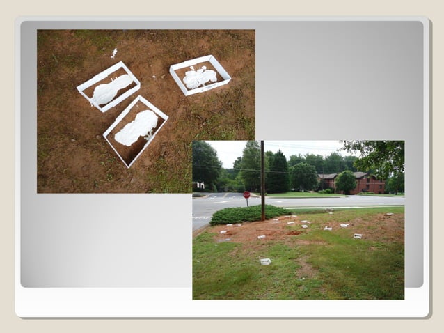 CIA — Crime Investigation Adventures Camp (Summer University) | PPT