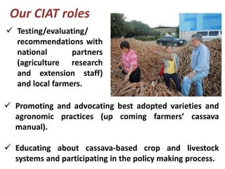 Research Areas and CRPs for CIAT Asia | PPT