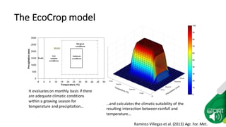 Modelling the future of cassava production in Asia | PDF | Agriculture ...