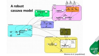 Modelling the future of cassava production in Asia | PDF | Agriculture | Industries