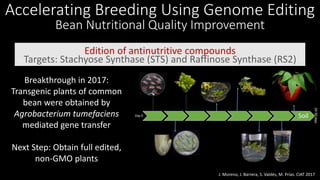 Genome Editing: A Disruptive Technology for Accelerating Breeding | PPTX
