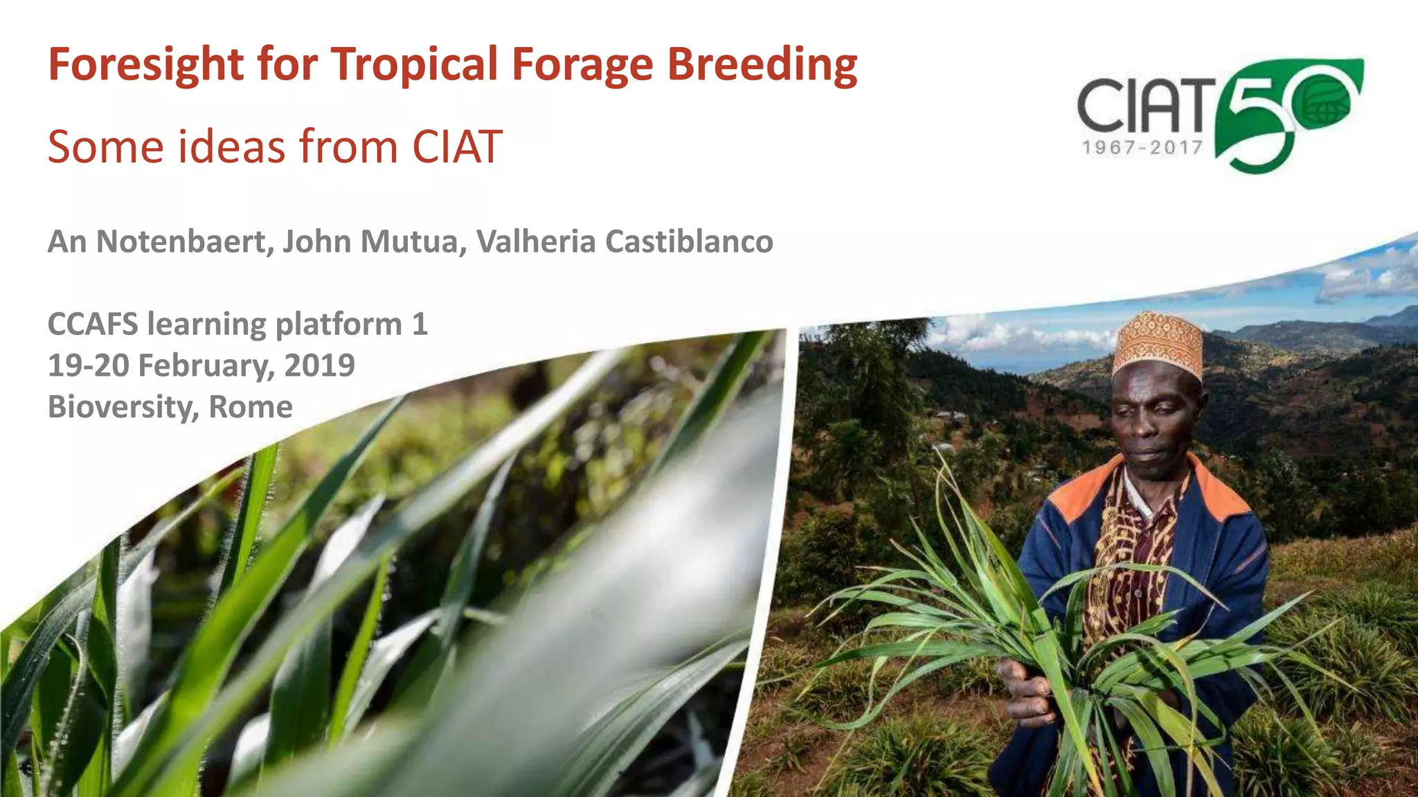 Breeding foresight workshop: Presentation by CIAT | PPTX | Agriculture ...