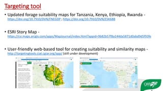 Breeding foresight workshop: Presentation by CIAT | PPTX | Agriculture ...