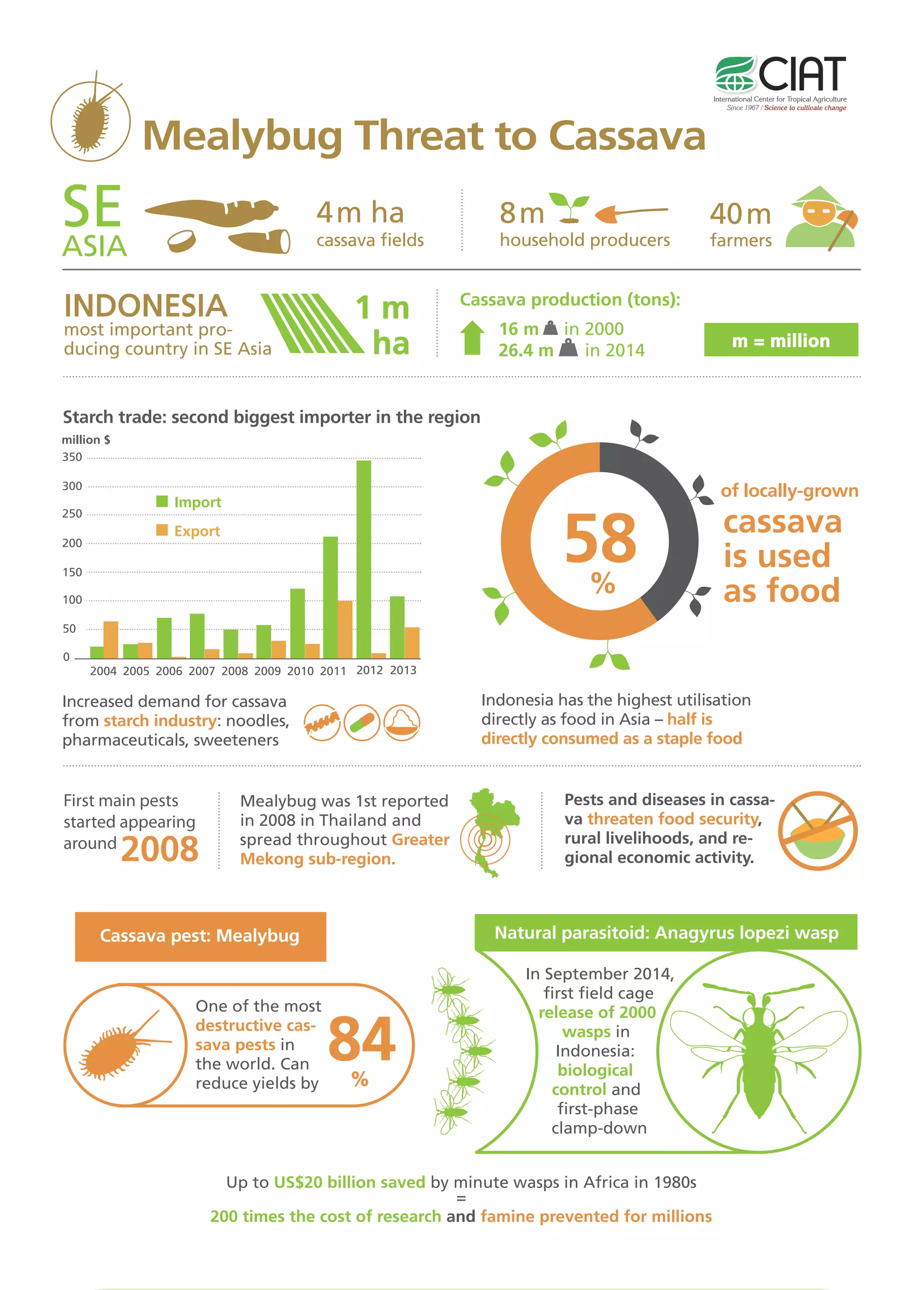 Infographic - Mealybug threat to cassava in SE Asia | PDF