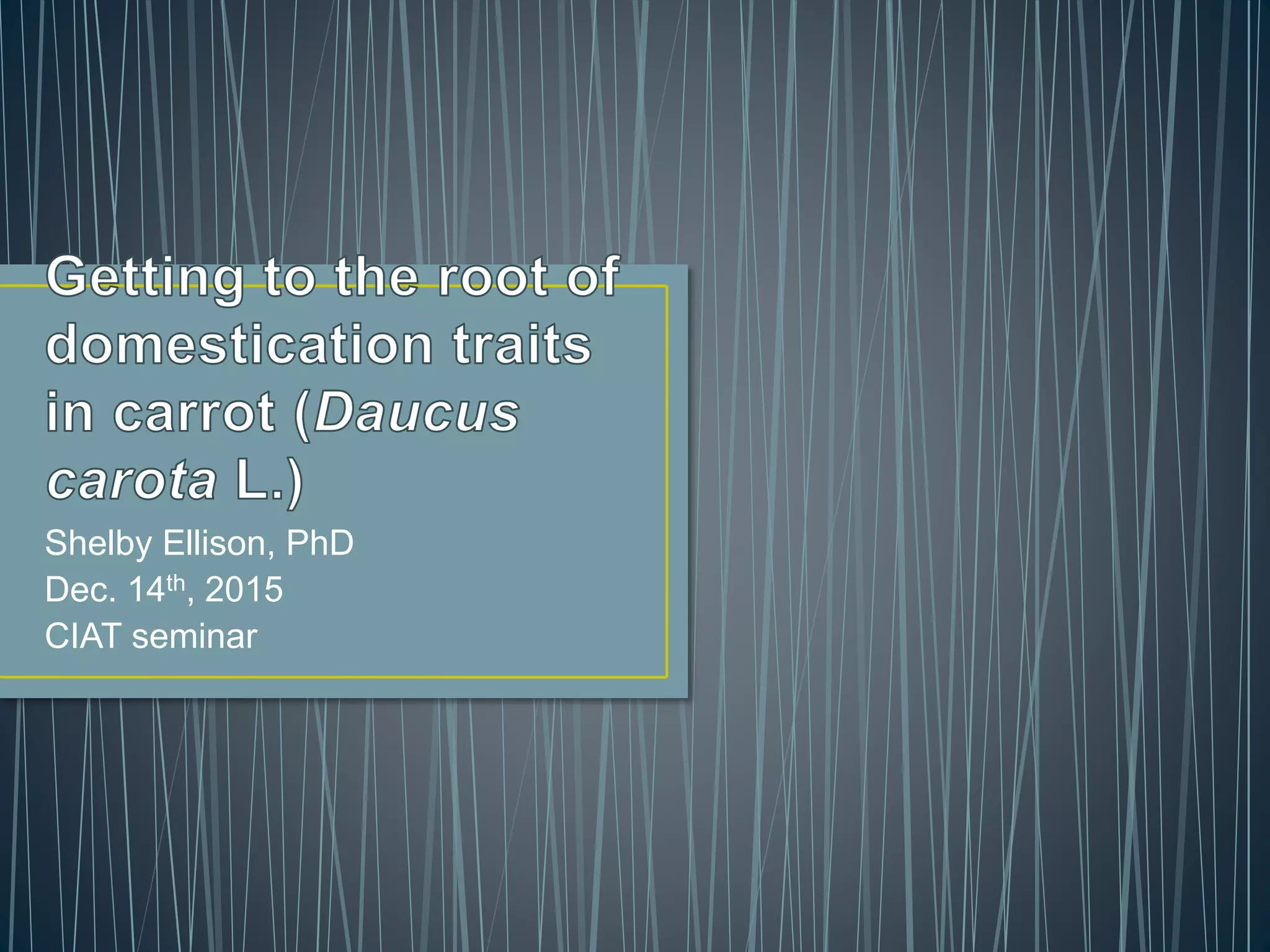 Getting to the root of domestication traits in carrot (Daucus carota L ...