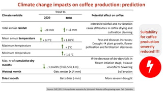 Towards a climate resilient coffee sector | PDF