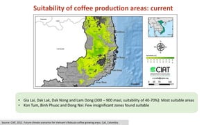 Towards a climate resilient coffee sector | PDF