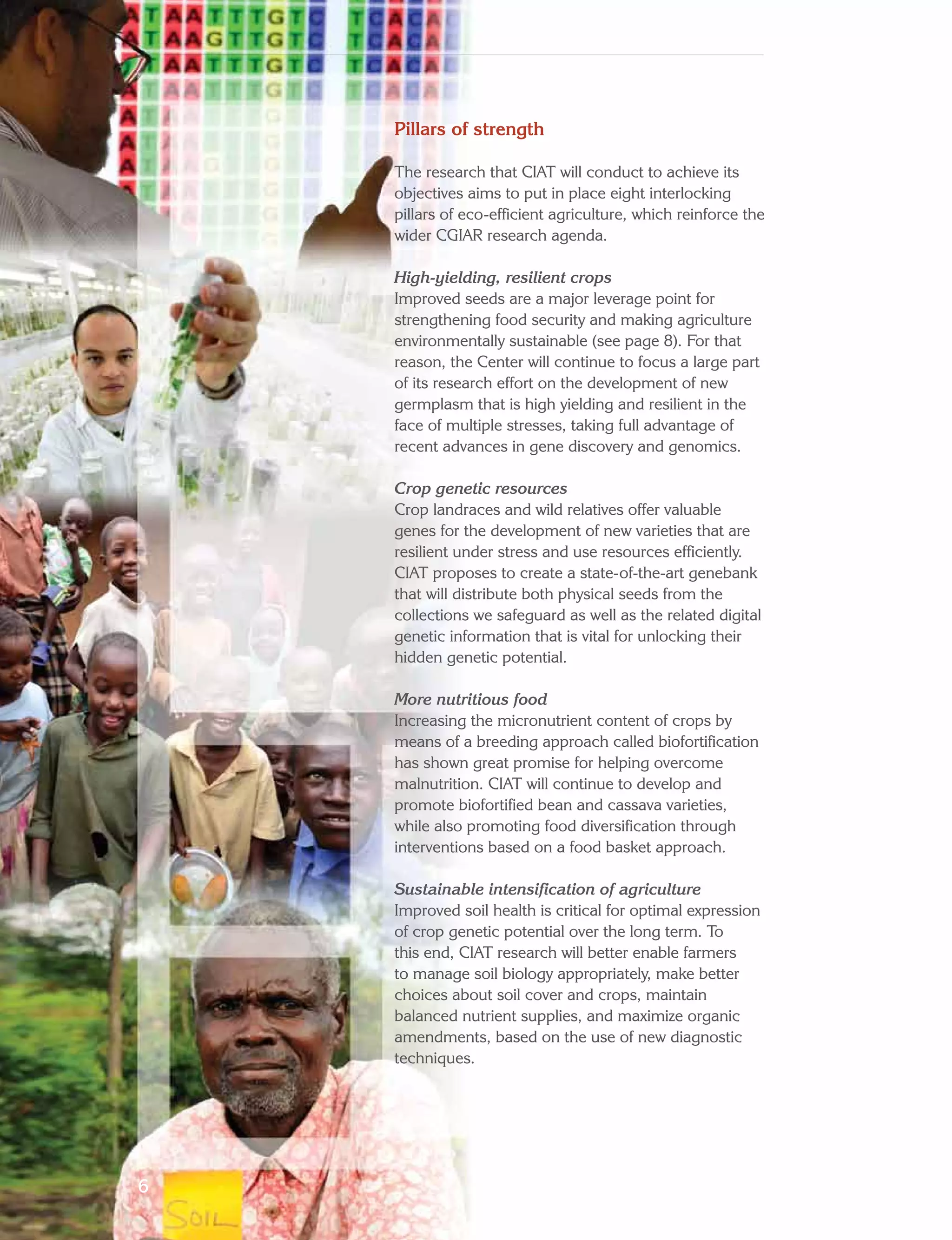 CIAT Strategy 2014–2020 A Synthesis | PDF | Agriculture | Industries