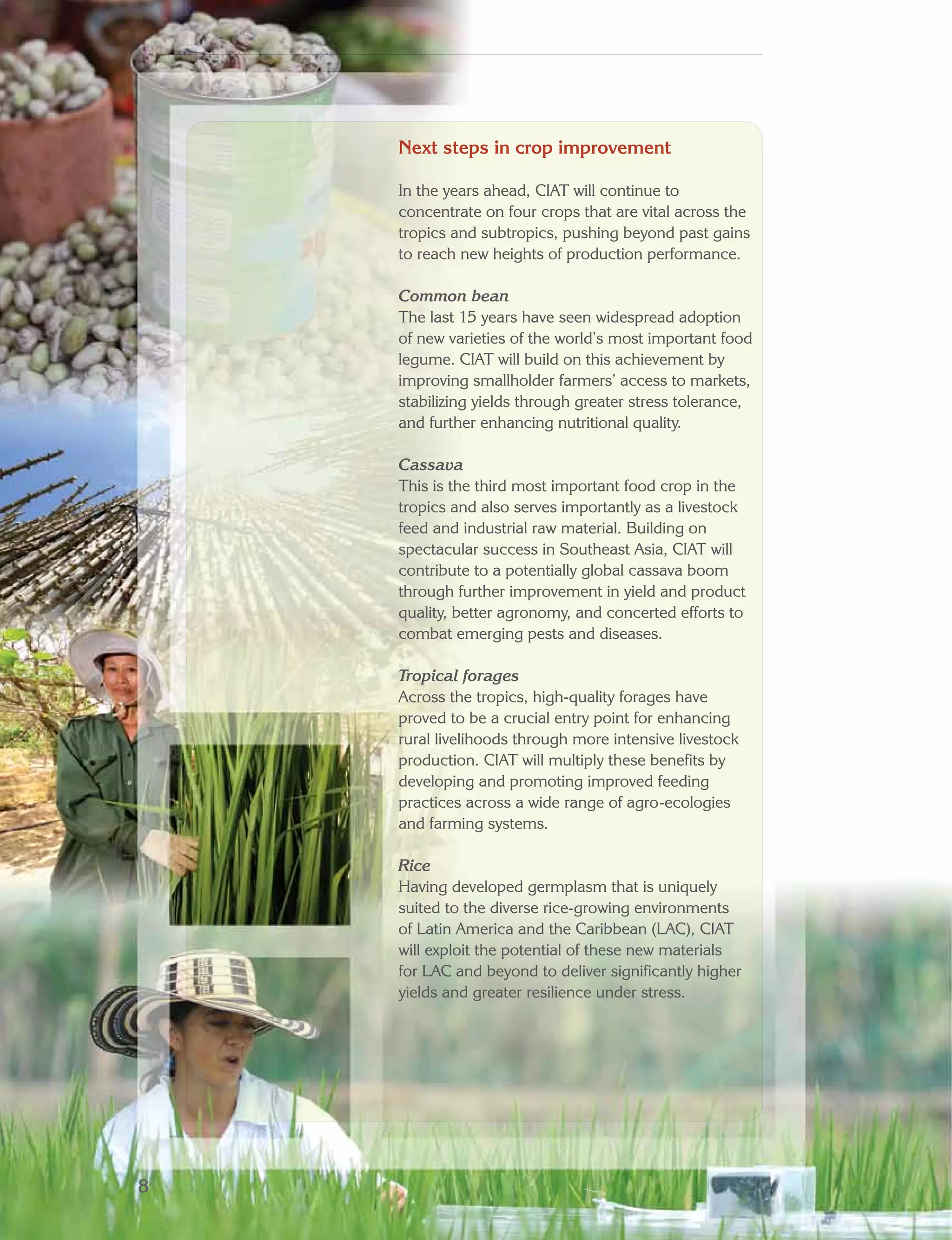 CIAT Strategy 2014–2020 A Synthesis | PDF | Agriculture | Industries