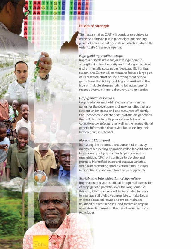CIAT Strategy 2014–2020 A Synthesis | PDF | Agriculture | Industries