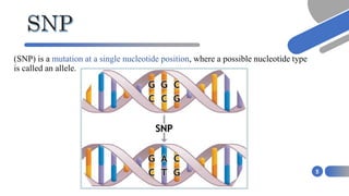 CIBEC Presentation Fatma Sayed.pptx