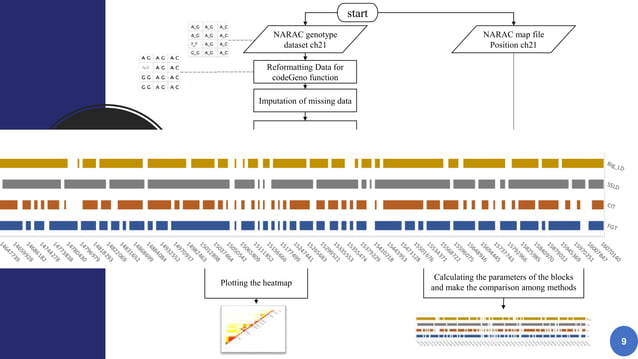 CIBEC Presentation Fatma Sayed.pptx