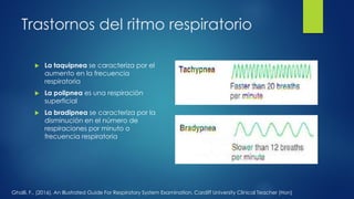 Exploración pulmonar | PDF