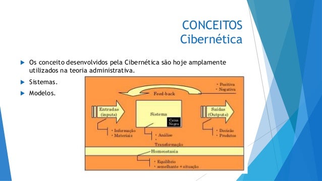Cibernética Tecnologia e Administração