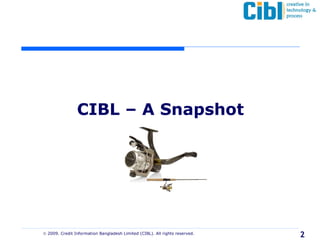 Cibl Company Overview | PPT