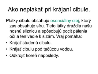 Cibula.ppt
