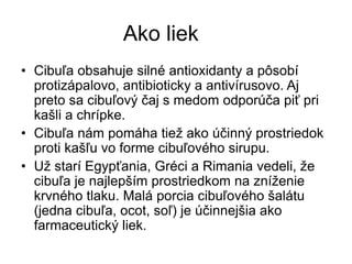 Cibula.ppt