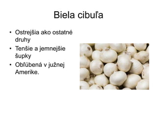 Cibula.ppt