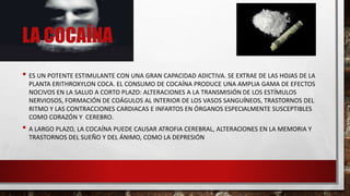 proyecto cicad que es y funcion | PPTX