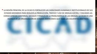 proyecto cicad que es y funcion | PPTX