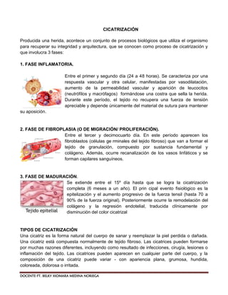 Cicatrizacion de los tejidos | PDF