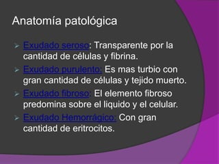 Cicatrizacion e-inflamacion (1) | PPT