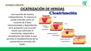 CICATRIZACION DE HERIDAS.pptx