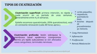 CICATRIZACION DE HERIDAS CICATRIZACION DE HERIDAS.pptx