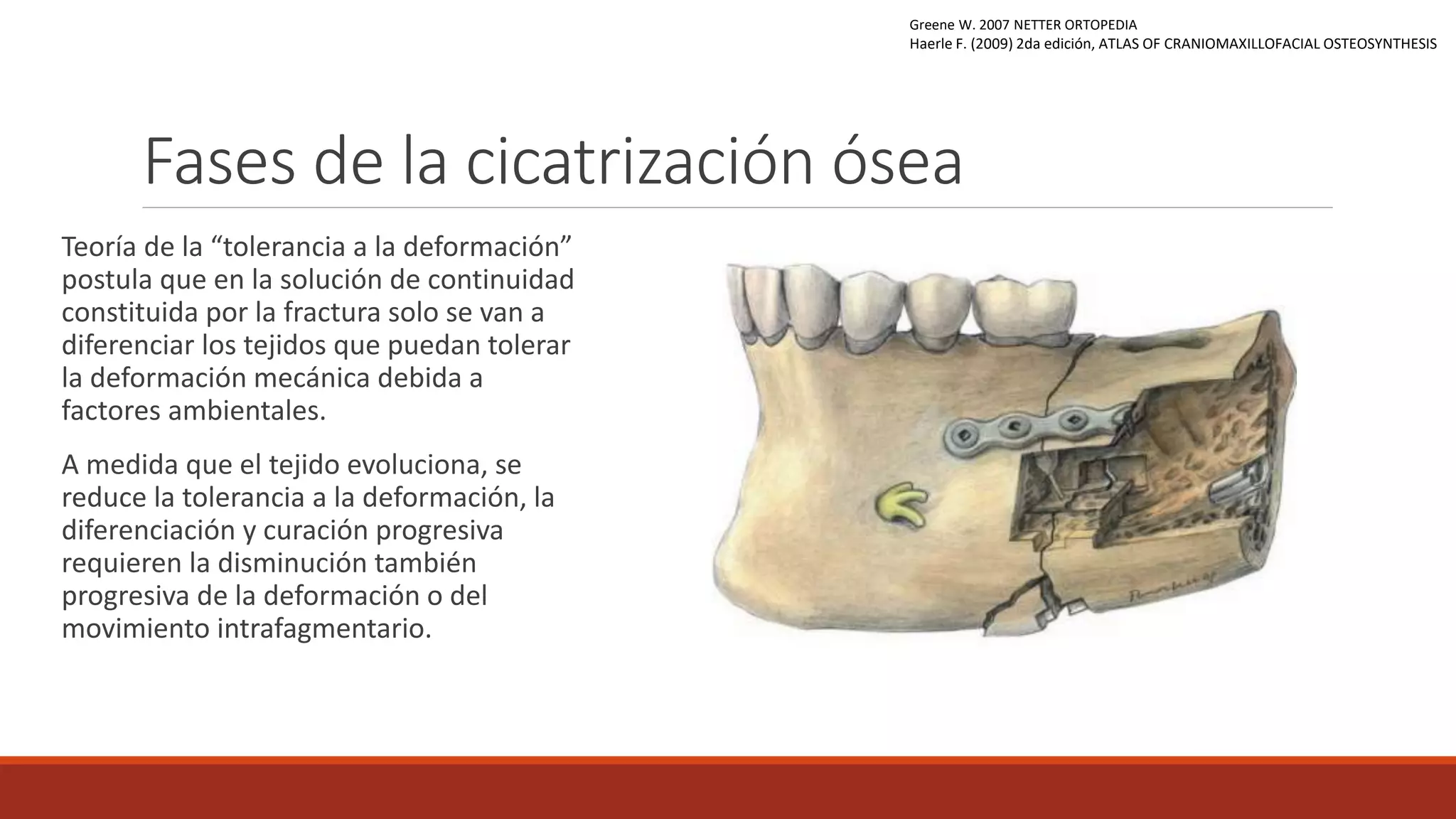 CICATRIZACION DE TEJIDO OSEO.pptx