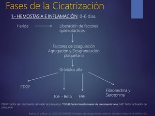 heridas y su manejo (cicatrización) | PPTX