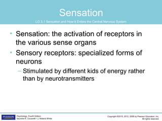 PSYC1101 - Chapter 3, 4th Edition PowerPoint | PPT