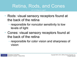 PSYC1101 - Chapter 3, 4th Edition PowerPoint | PPT