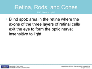 PSYC1101 - Chapter 3, 4th Edition PowerPoint | PPT