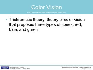 PSYC1101 - Chapter 3, 4th Edition PowerPoint | PPT