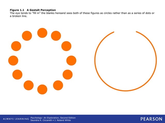 Ciccarelli ch01 lecture | PPT