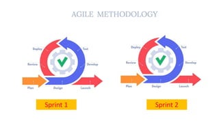 Cicd | PPTX | Computer Software and Applications | Computing