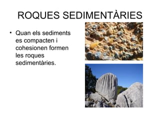 Cicle Roques | PPT