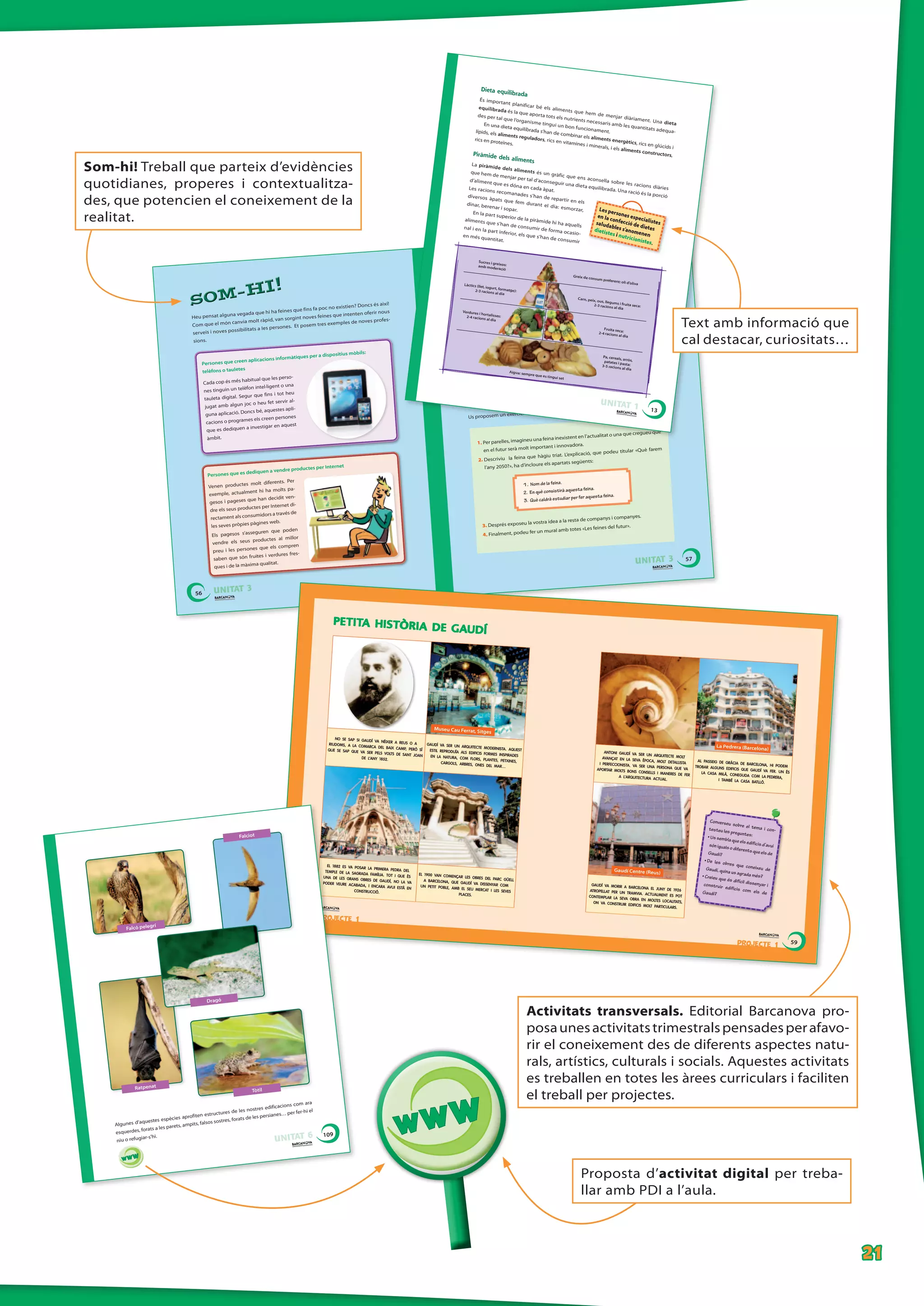Nou projecte de CICLE MITJÀ. Coneixement del Medi | PDF