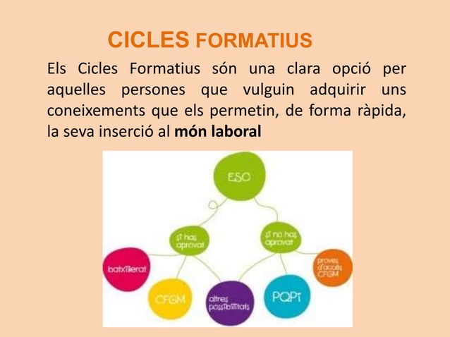 Cicles formatius | PPT