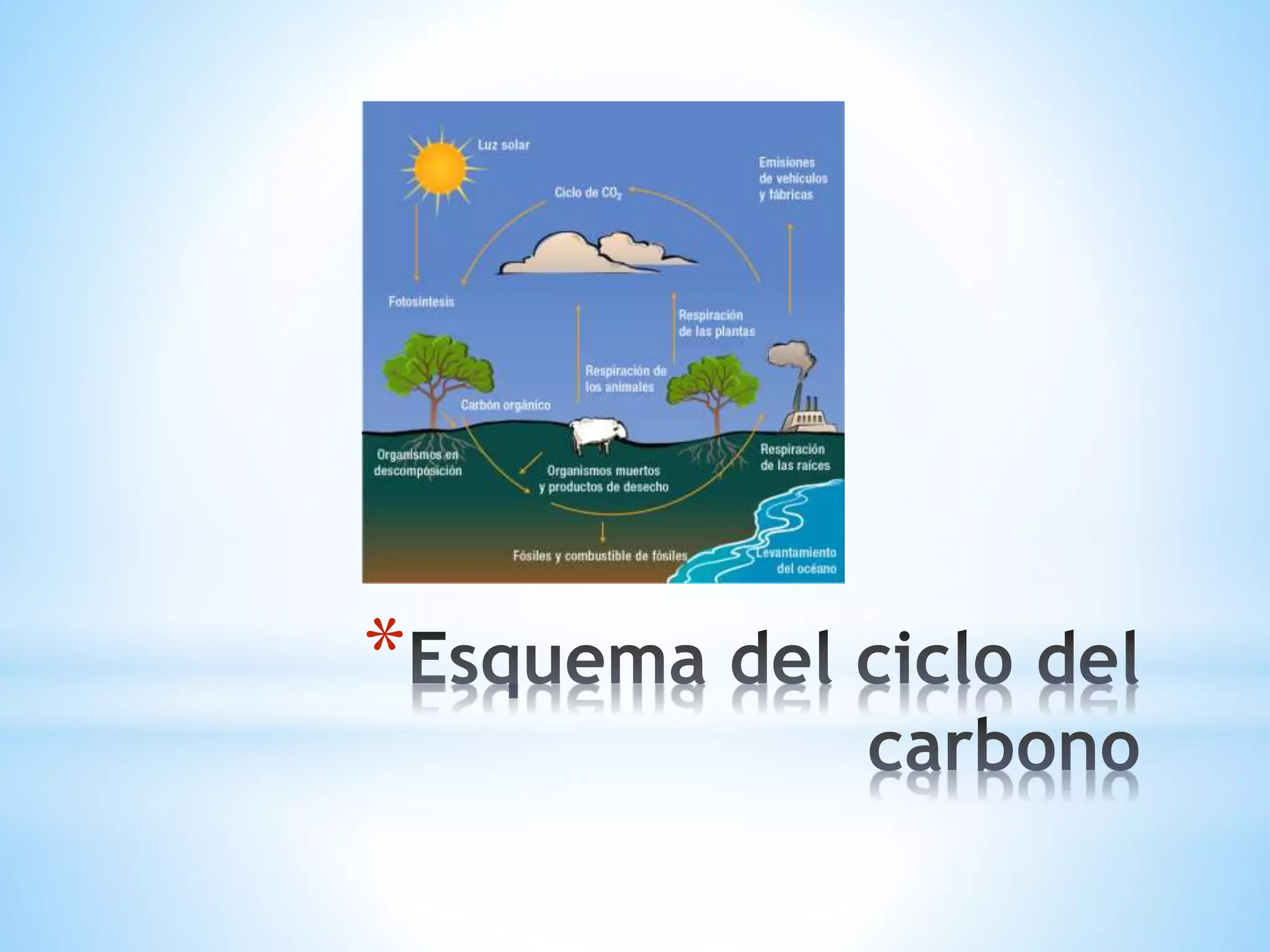 Ciclo De Los Elementos Ppt 